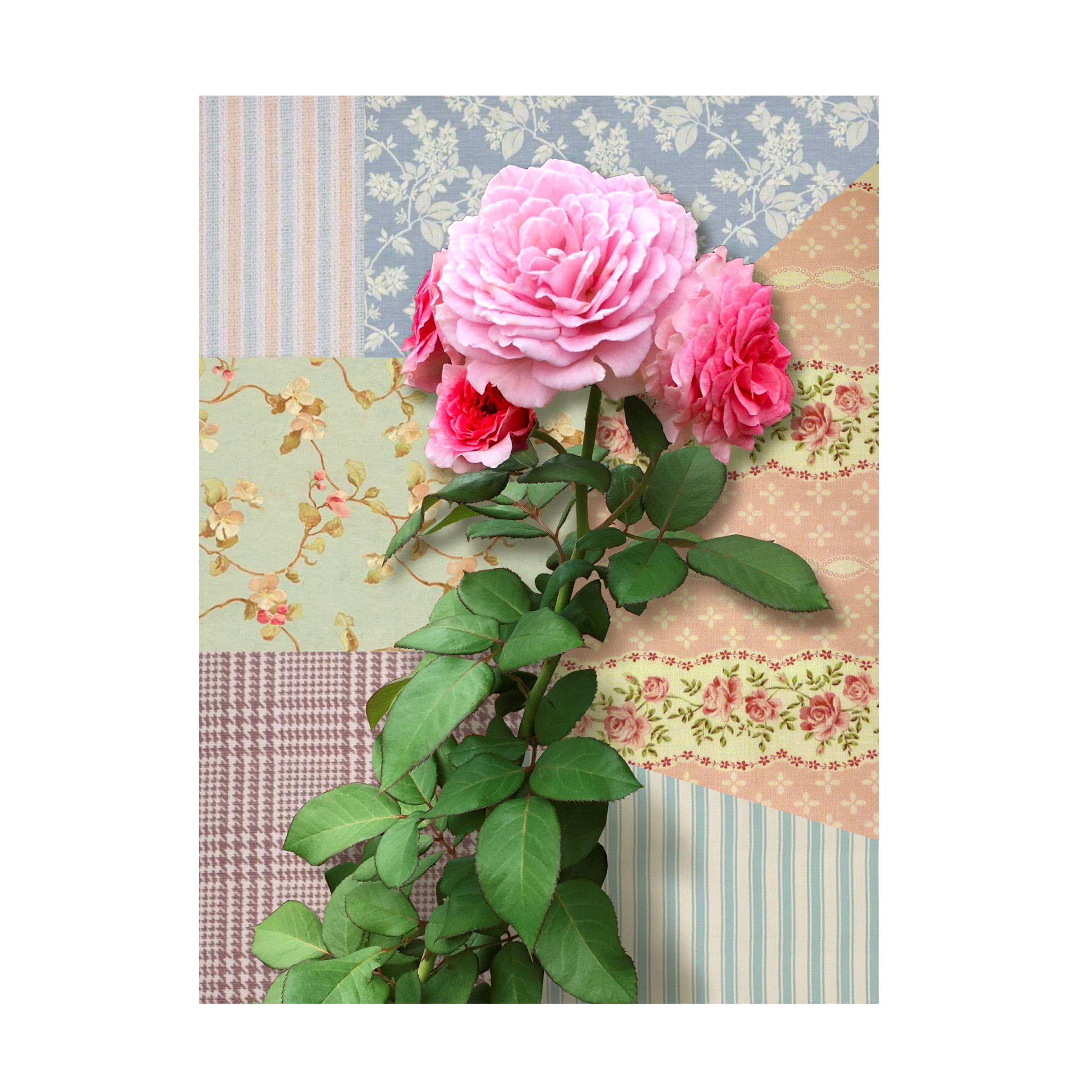 Margaret King 'Roses Floribunda n Crazy Quilt' Canvas Art - Walmart.com