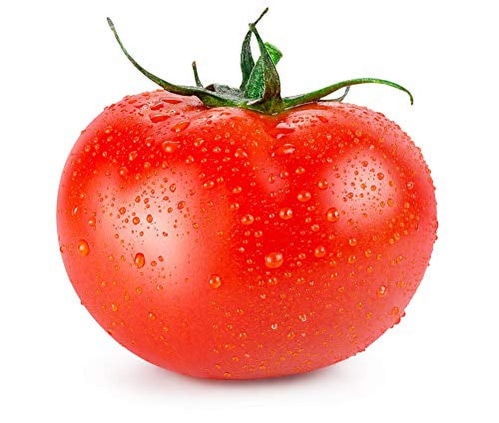 Marglobe Heirloom Tomato Seeds, 500 Seeds Per Packet, Non GMO Seeds ...