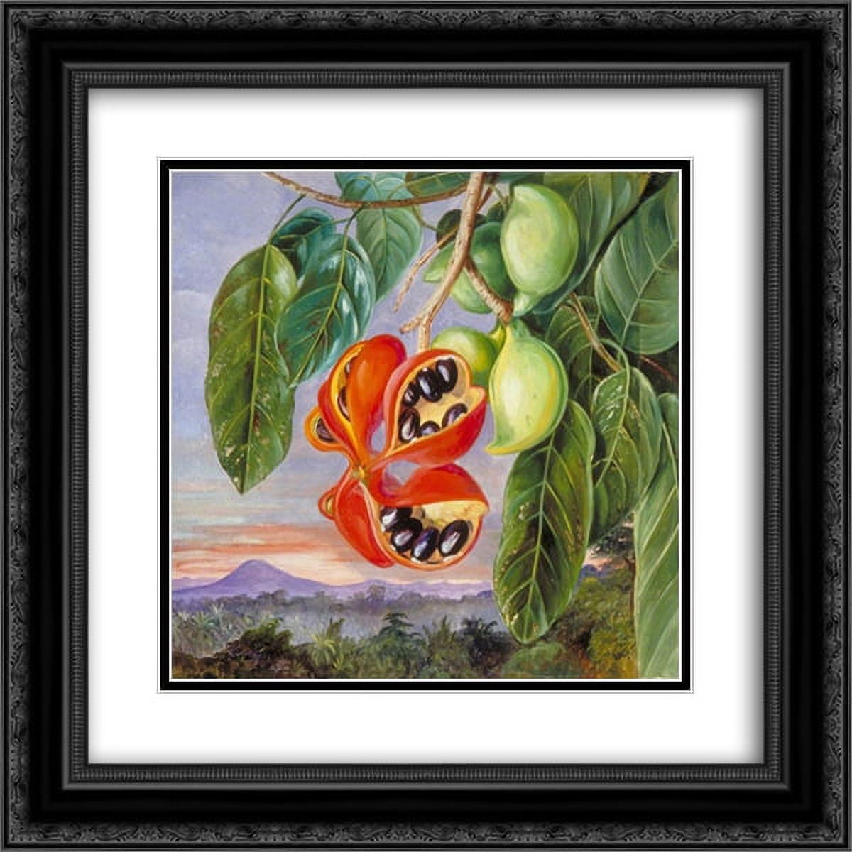 Marianne North 2x Matted 22x20 Black Ornate Framed Art Print 'Foliage ...