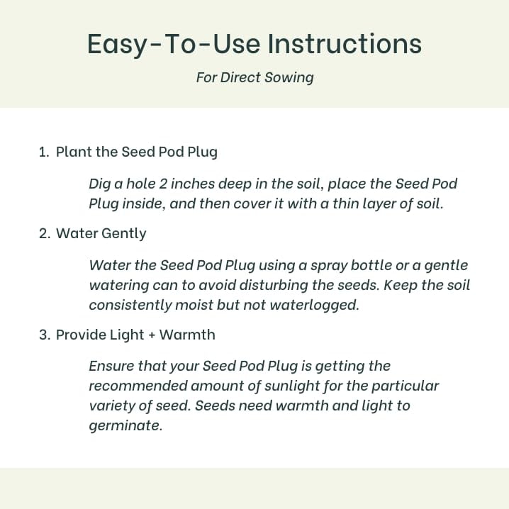 Marigold - Complete Seed Pod Plugs with Plant Food - 10 Pods for ...