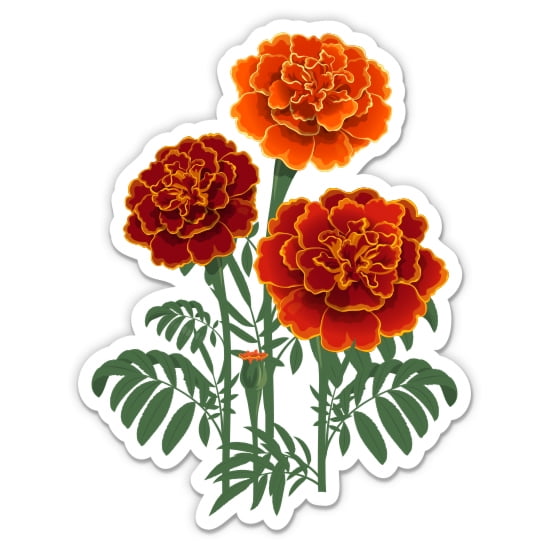 Marigold Flowers - 3" Vinyl Sticker - For Car Laptop Water Bottle Phone ...