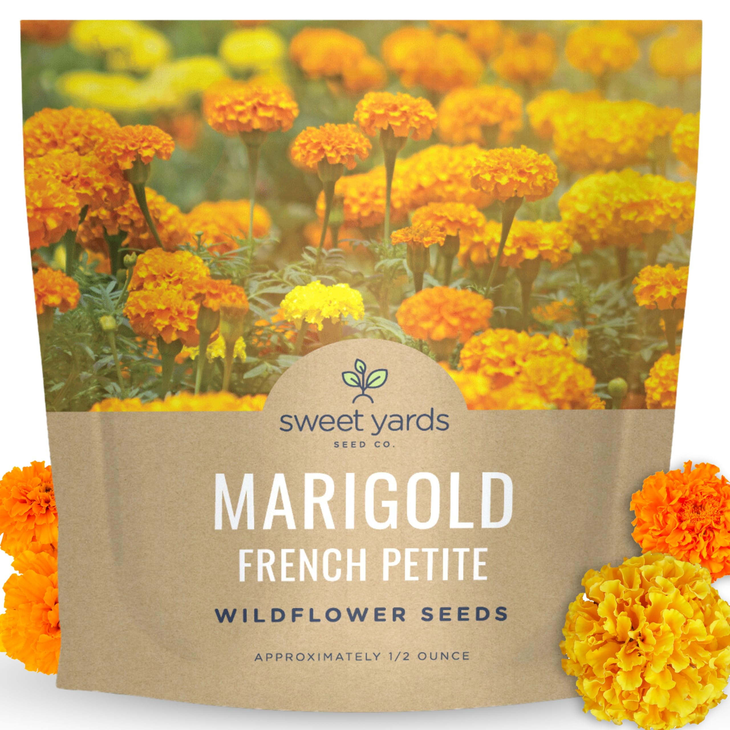 Marigold French Petite - Large 1/2 SMROunce Packet - 4,000 Flower Seeds ...