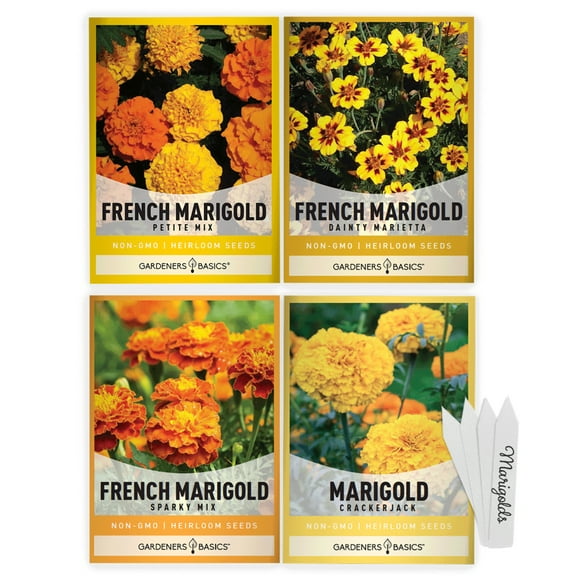 Marigold Variety