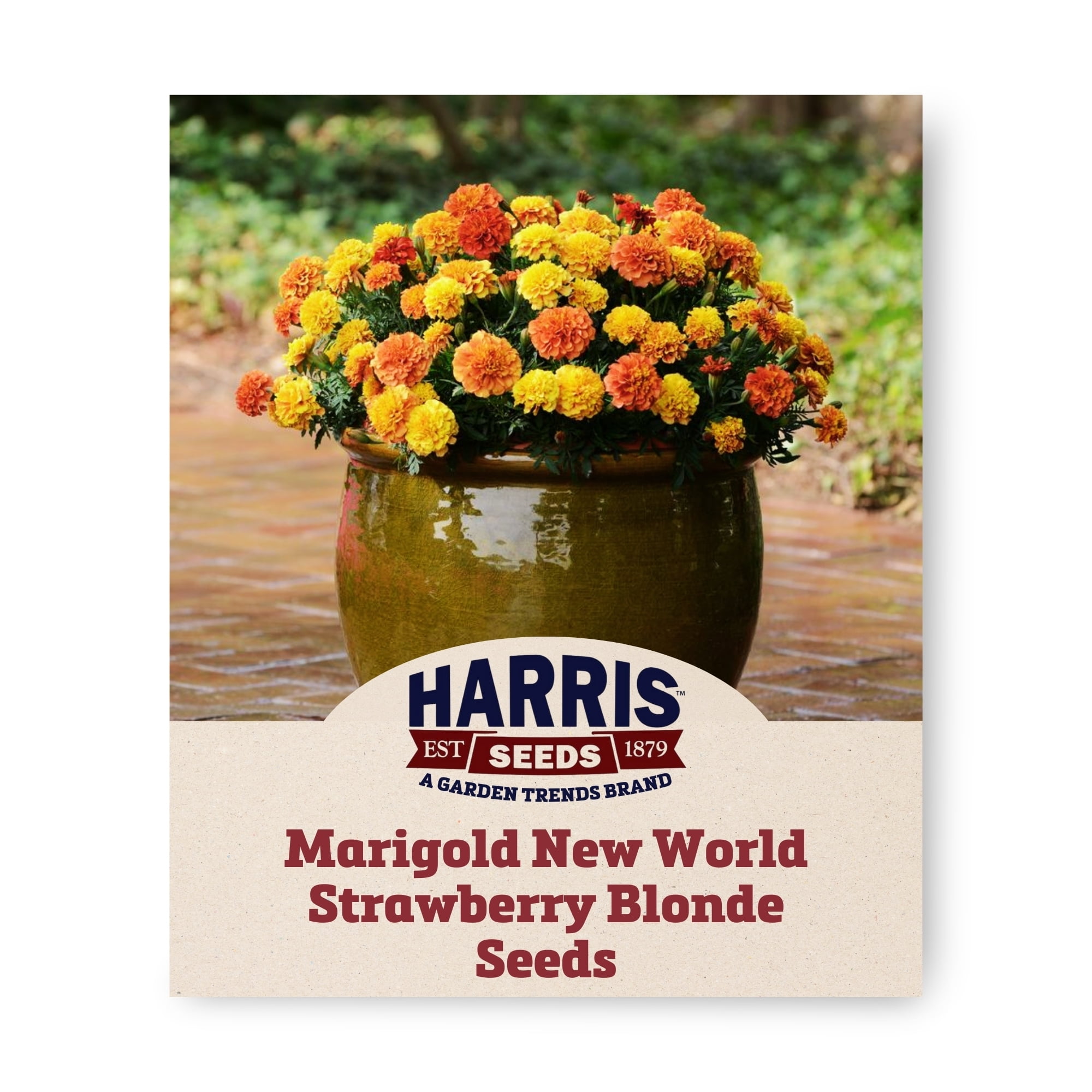 Harris Seeds - Marigold Seeds - New World Strawberry Blonde Variety ...