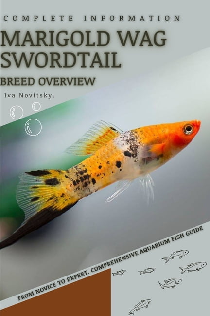 Marigold Wag Swordtail: From Novice to Expert. Comprehensive Aquarium ...