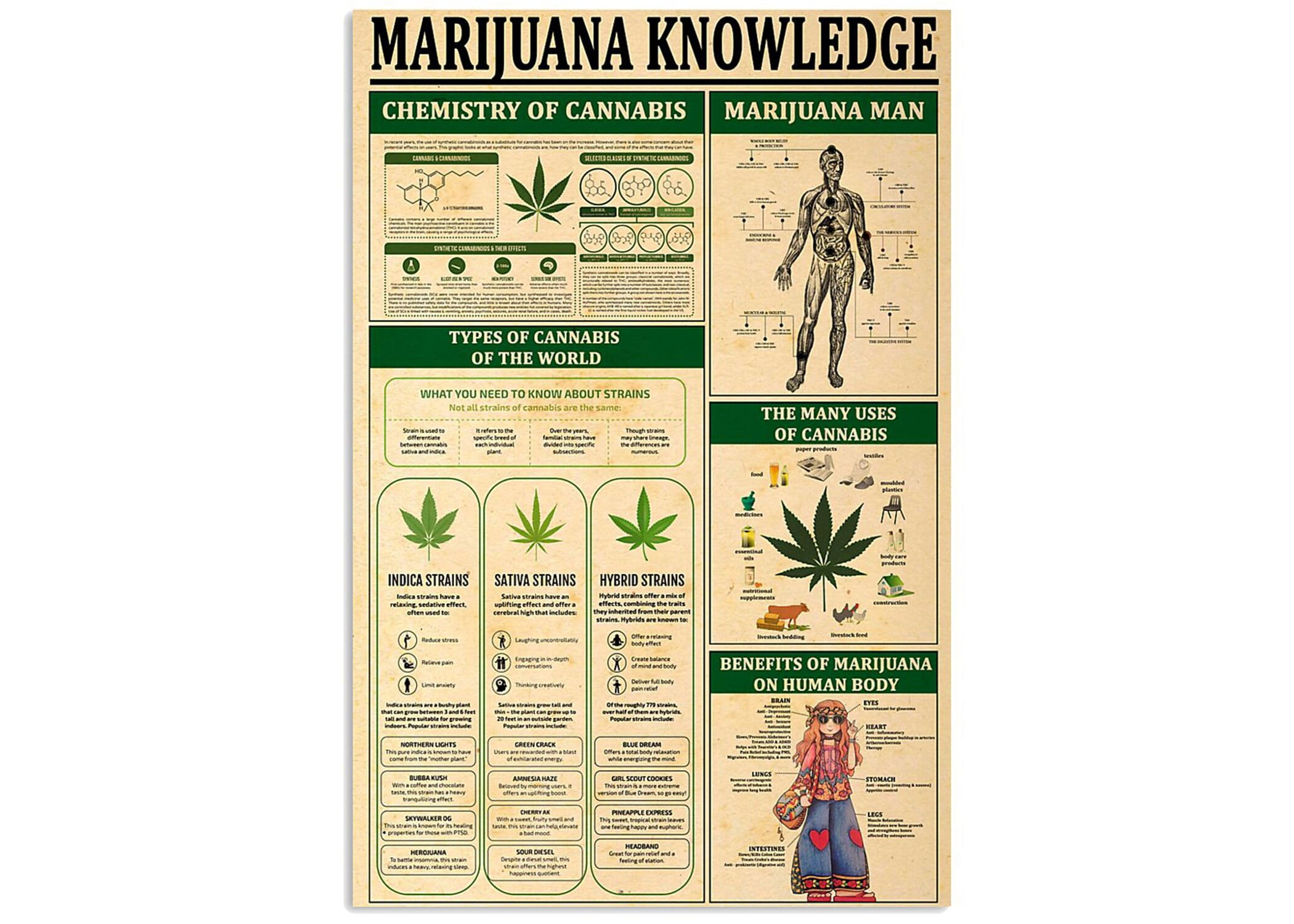 Weed Knowledge Poster, Hippie Poster, Hippie Room Decor, Hippie Wall ...