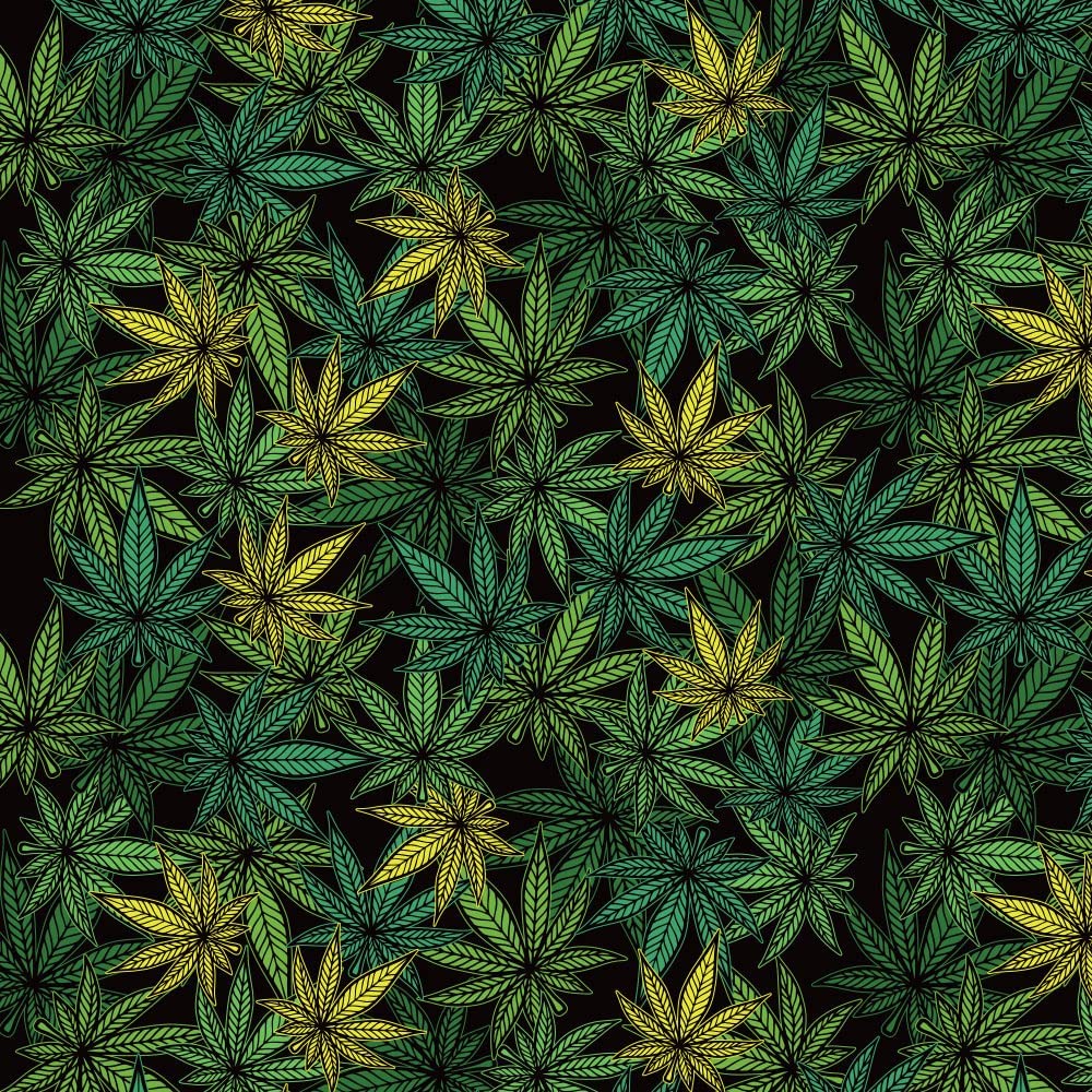 Marijuana Leaf Theme FEV6 Pattern Gift Wrapping Paper, 2 Sheet - 15 sq ...