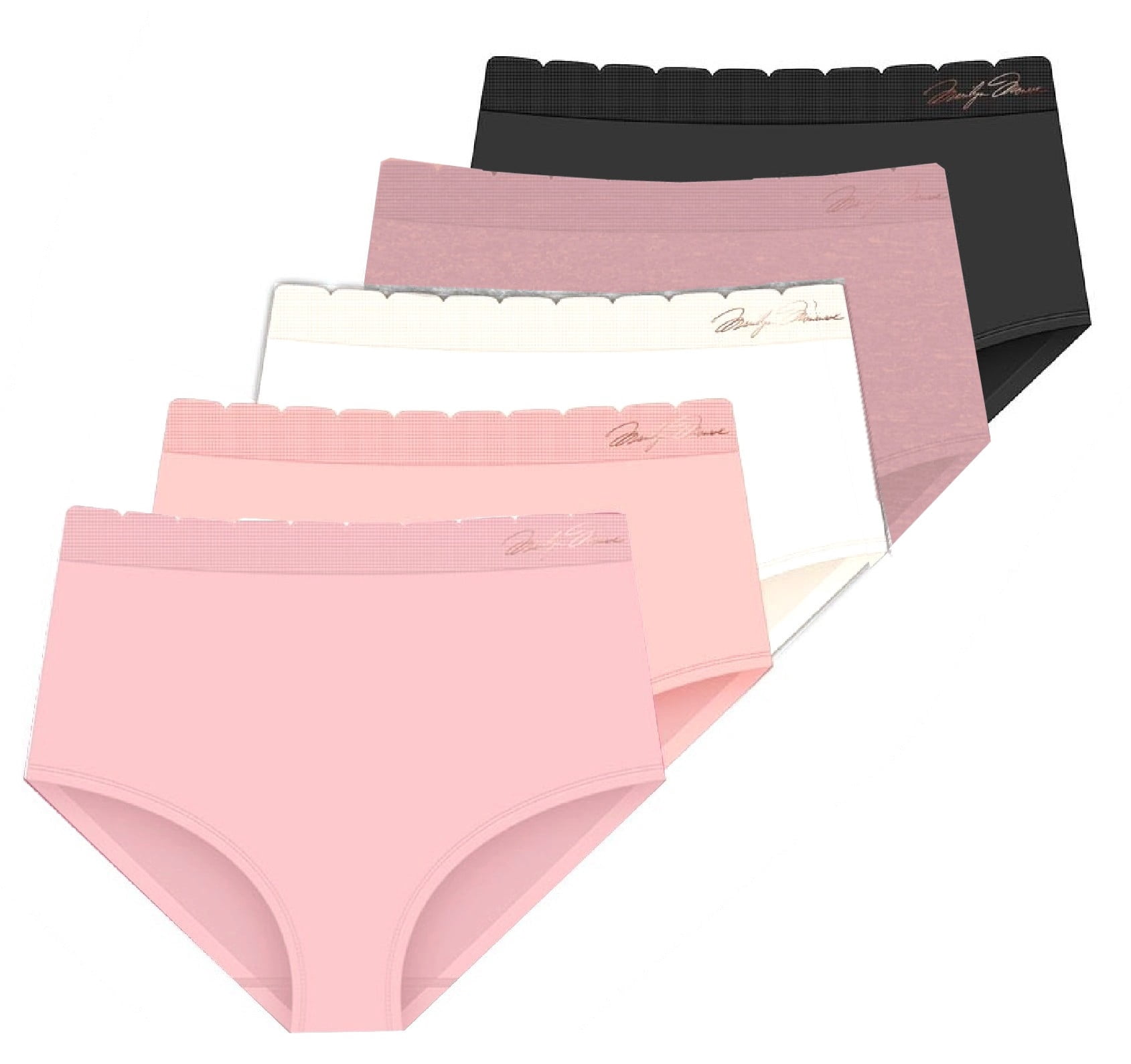 Marilyn Monroe Intimates Seamless Lightweight Brief Panties - Scallop ...