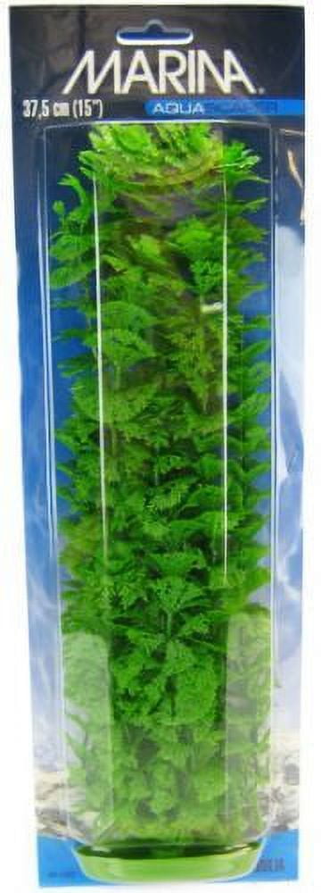 Marina Aquascaper Ambulia Plant [Aquarium, Plants Standard] 15" Tall ...