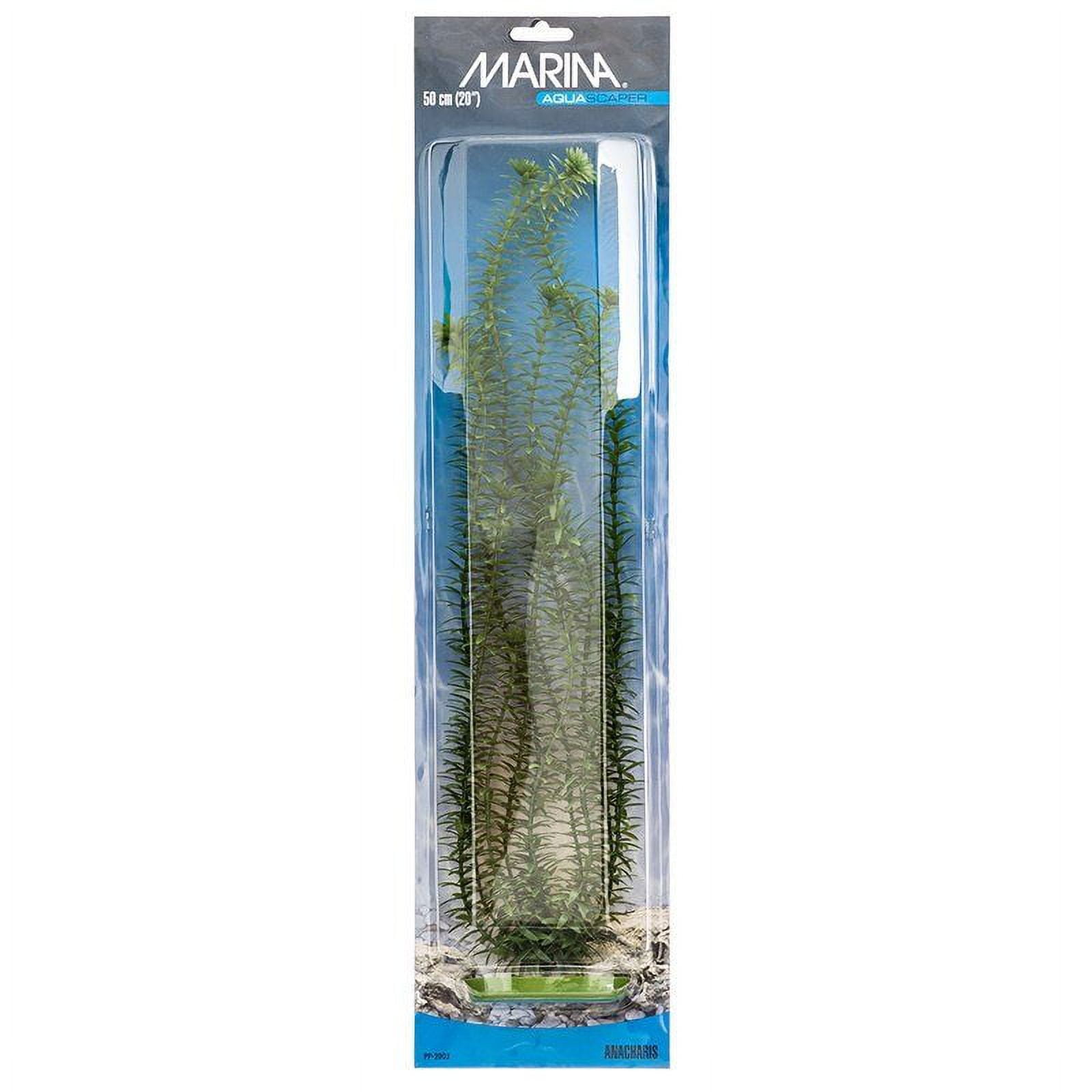 Marina Aquascaper Anacharis Plant [Aquarium, Plants Standard] 20" Tall ...