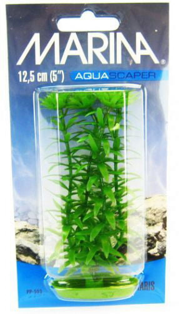 Marina Aquascaper Anacharis Plant [Aquarium, Plants Standard] 5" Tall ...