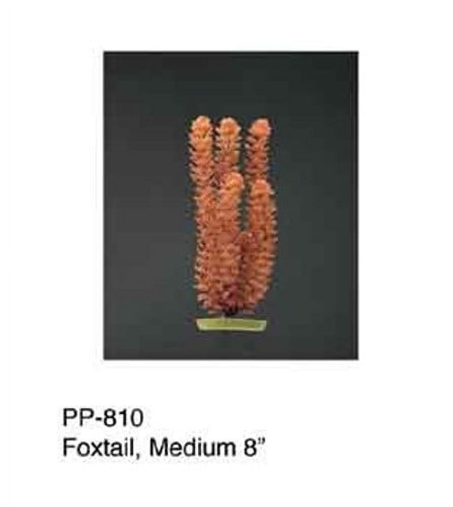 Marina Foxtail Aquarium Plant - Walmart.com