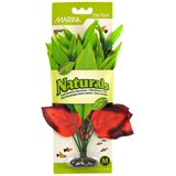 Marina Naturals Red/Green Pickerel Silk Plant, Medium - Walmart.com
