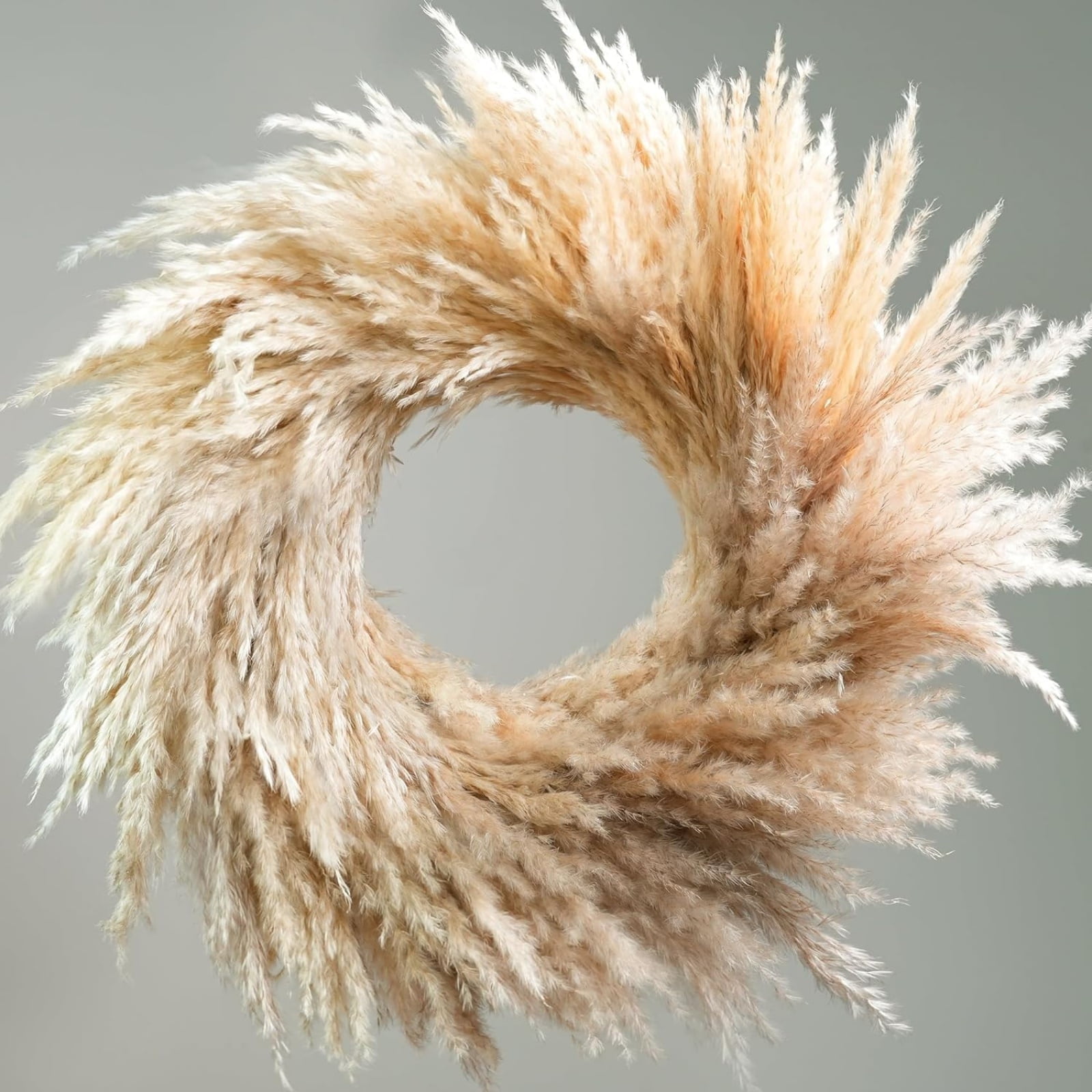 MarinaVida Natural Pampas Grass Wreath, Fall Pampas Grass Wreath for ...