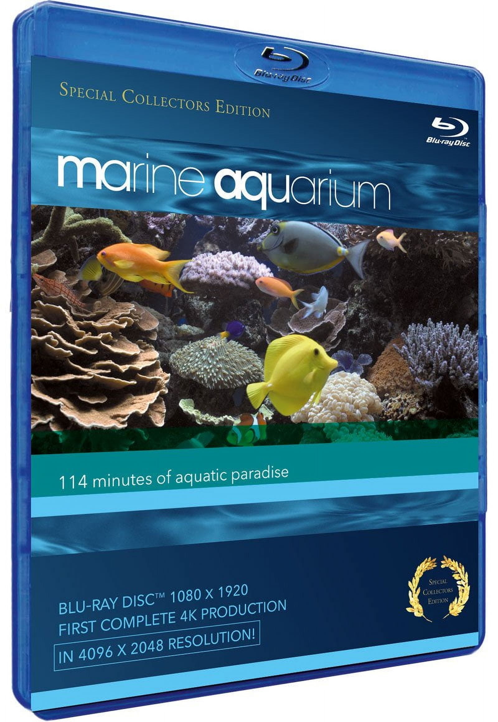 Marine Aquarium (Blu-ray) - Walmart.com