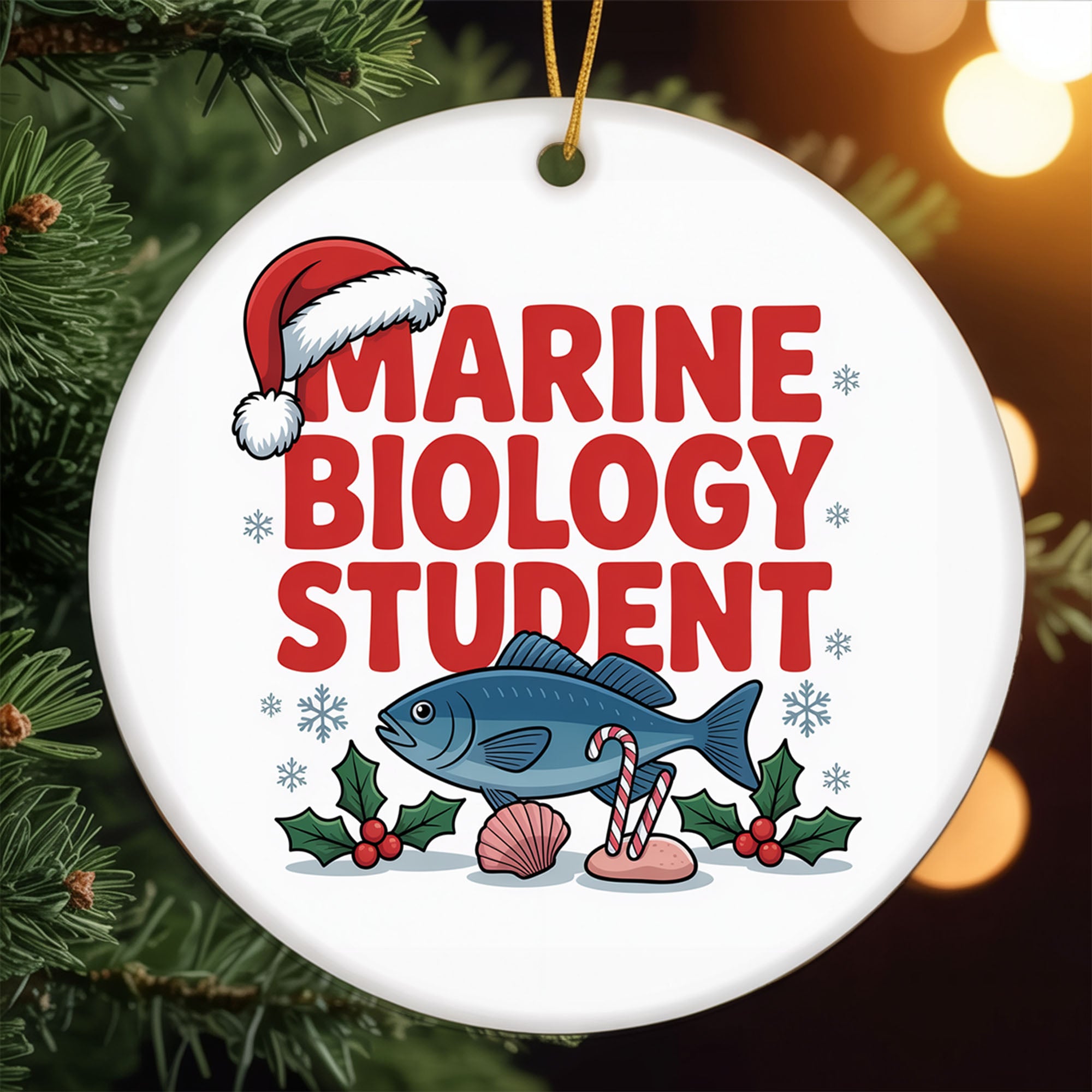Marine Biology Student Ornament, Christmas Ornament 2025, Personalized ...