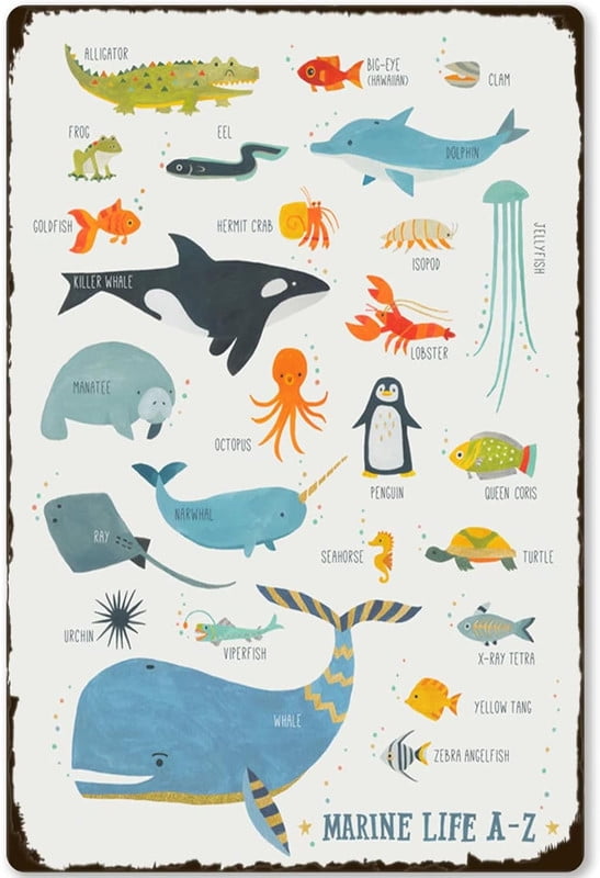 Marine Life A- Z Signs Marine Life Species Chart Plaques Children ...
