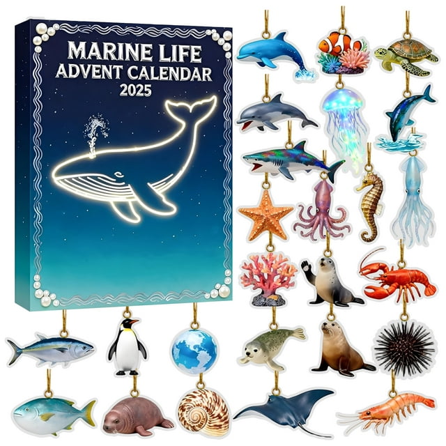 Marine Life Advent Calendar -24 Day Advent Calendar for 2026 Acrylic ...