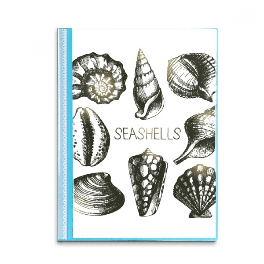 Marine Life Black Scallop Illustration Book Sheet Protectors Portfolio ...