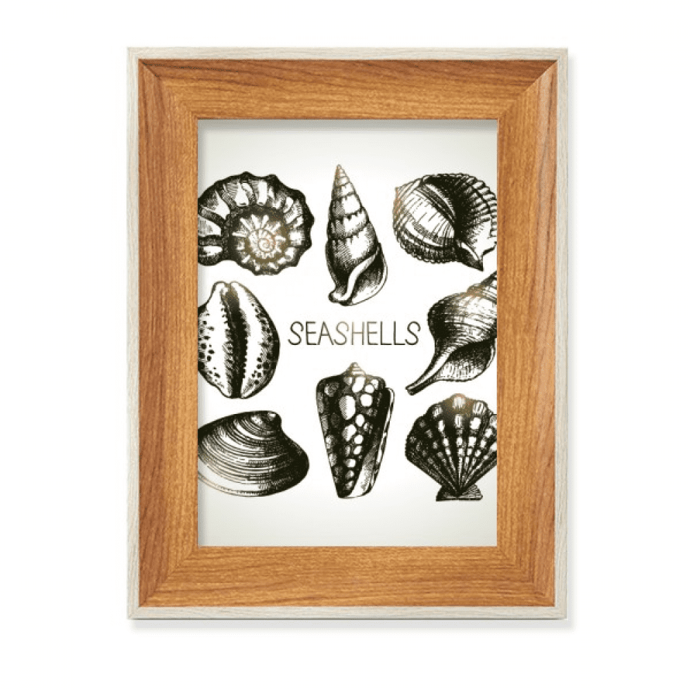 Marine Life Black Scallop Illustration Desktop Wooden Photo Frame ...