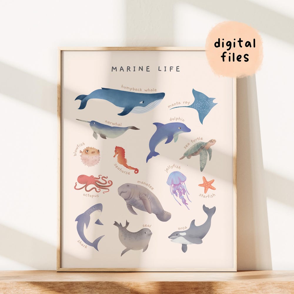 Marine Life Educational Poster, Ocean Animals Montessori Homeschool ...