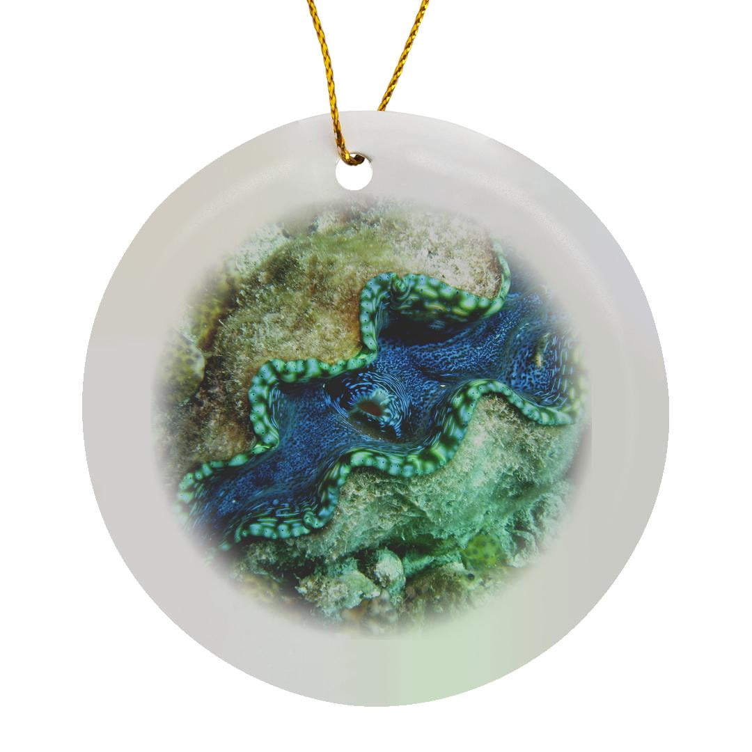 3drose, Marine Life, Giant Clam, Great Barrier Reef, Australia-au01 ...