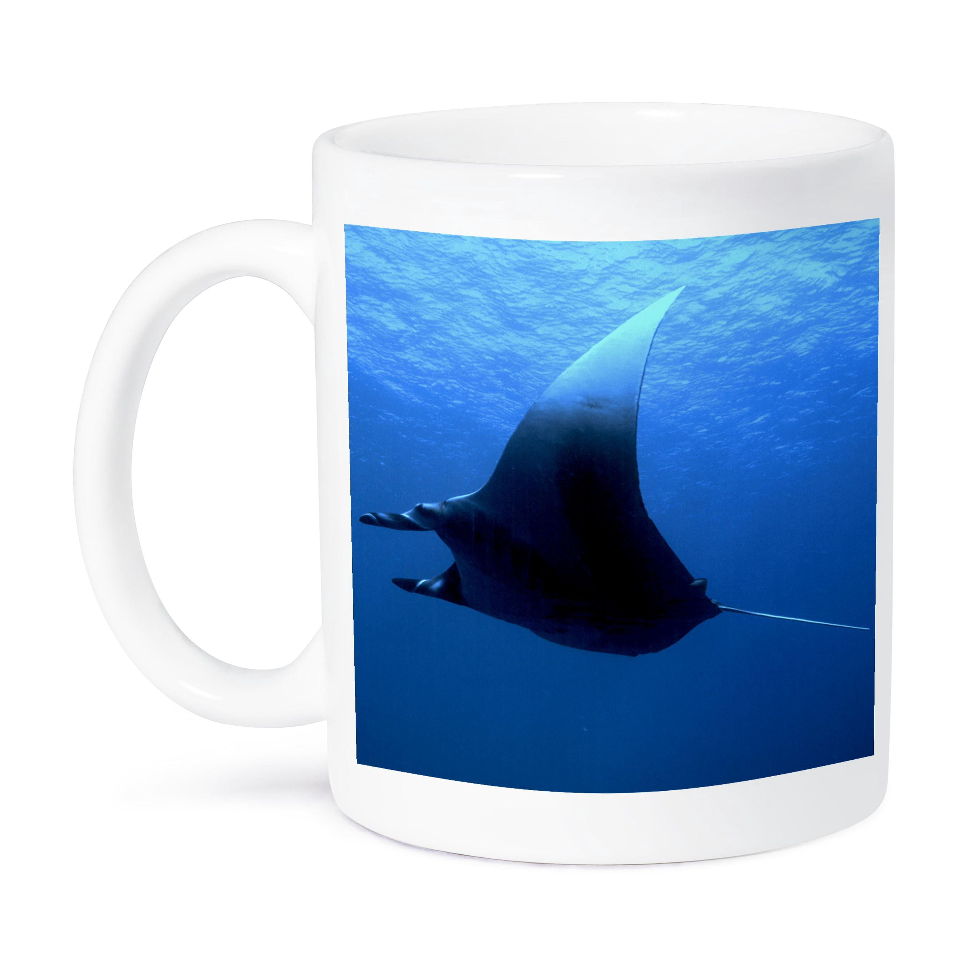 3dRose, Marine life, Manta ray at Rocky Island, Red Sea, Egypt-AF14 ...