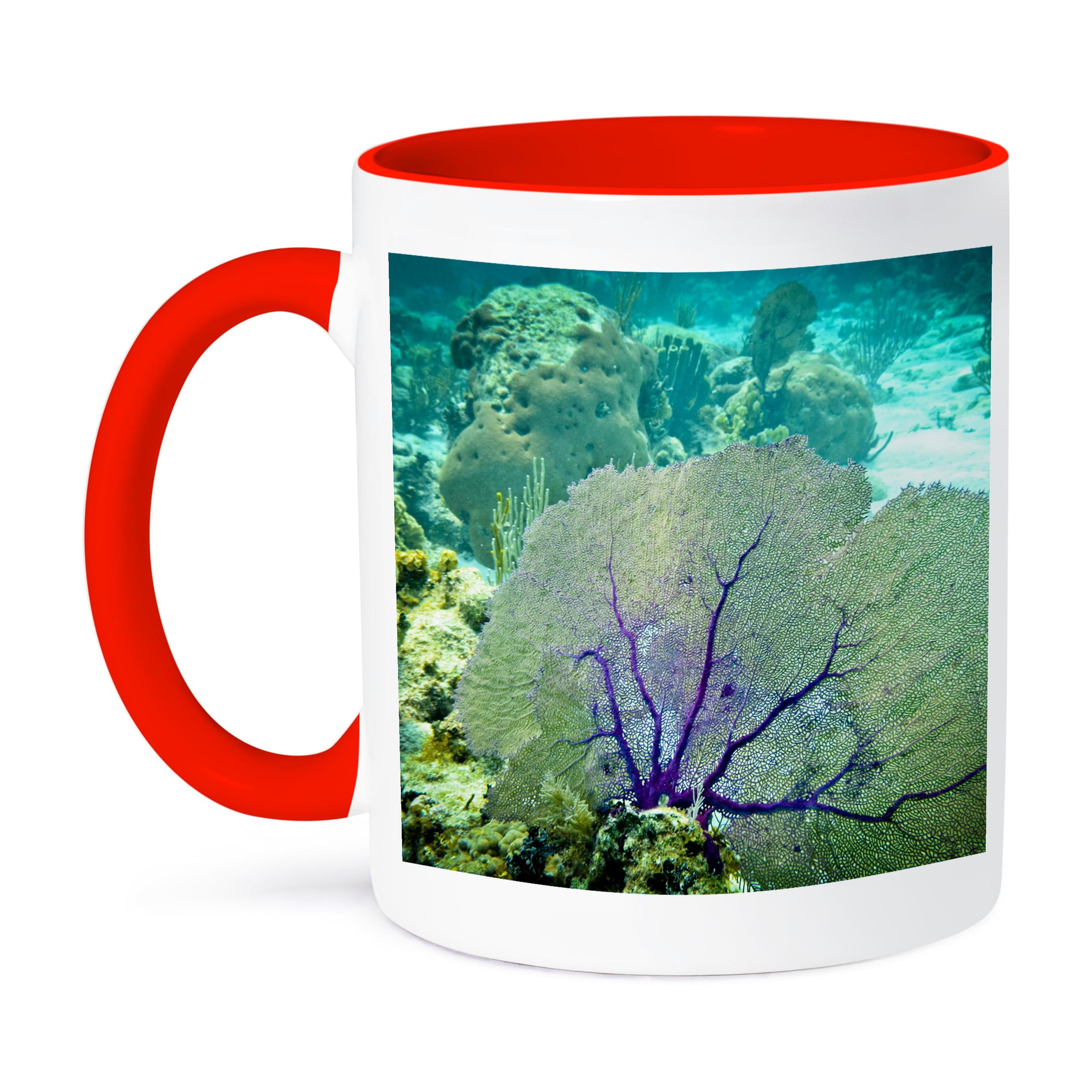 Marine Life, Sea Fan, Belize Barrier Reef, Belize - Sa02 Mwi0004 - Mark ...