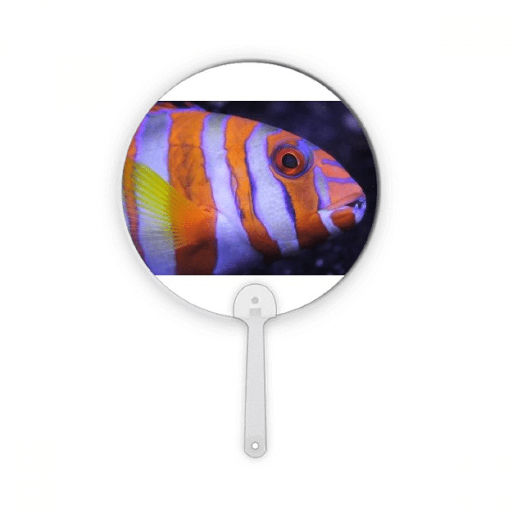 Marine Organism Tropical Fish Animal Plastic Round Handheld Fan ...