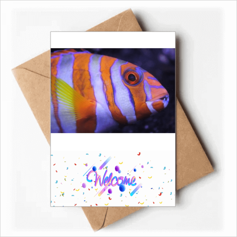 Marine Organism Tropical Fish Animal Welcome Back Greeting Cards ...