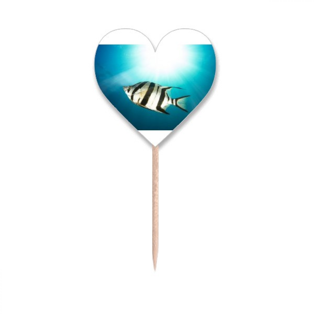 Marine Organism Tropical Sea Fish Toothpick Flags Heart Lable Cupcake ...