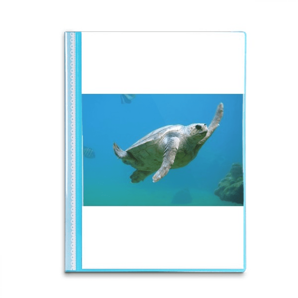 Marine Organism Turtle Ocean Animal Book Sheet Protectors Portfolio ...