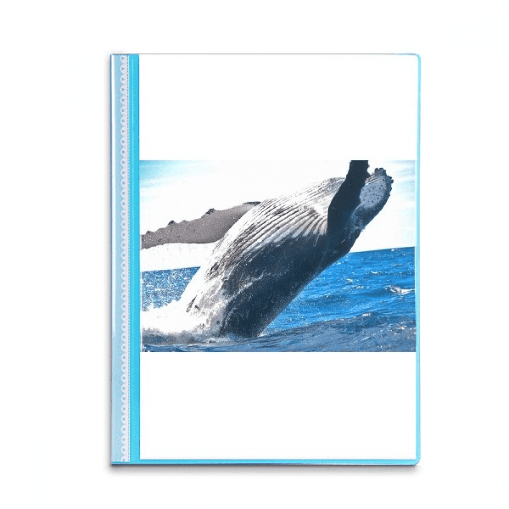 Marine Organism Whale Ocean Animal Book Sheet Protectors Portfolio ...