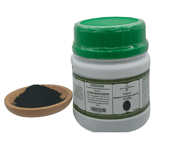 Marine Phytoplankton Powder, 8 oz: Sea Superfood for Energy, Health and ...