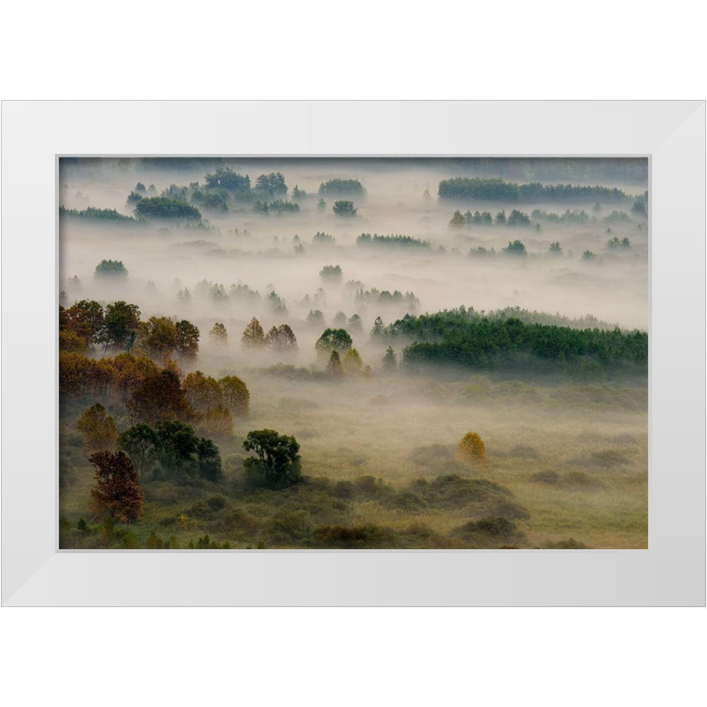 Marini, Roberto 24x17 White Modern Wood Framed Museum Art Print Titled ...