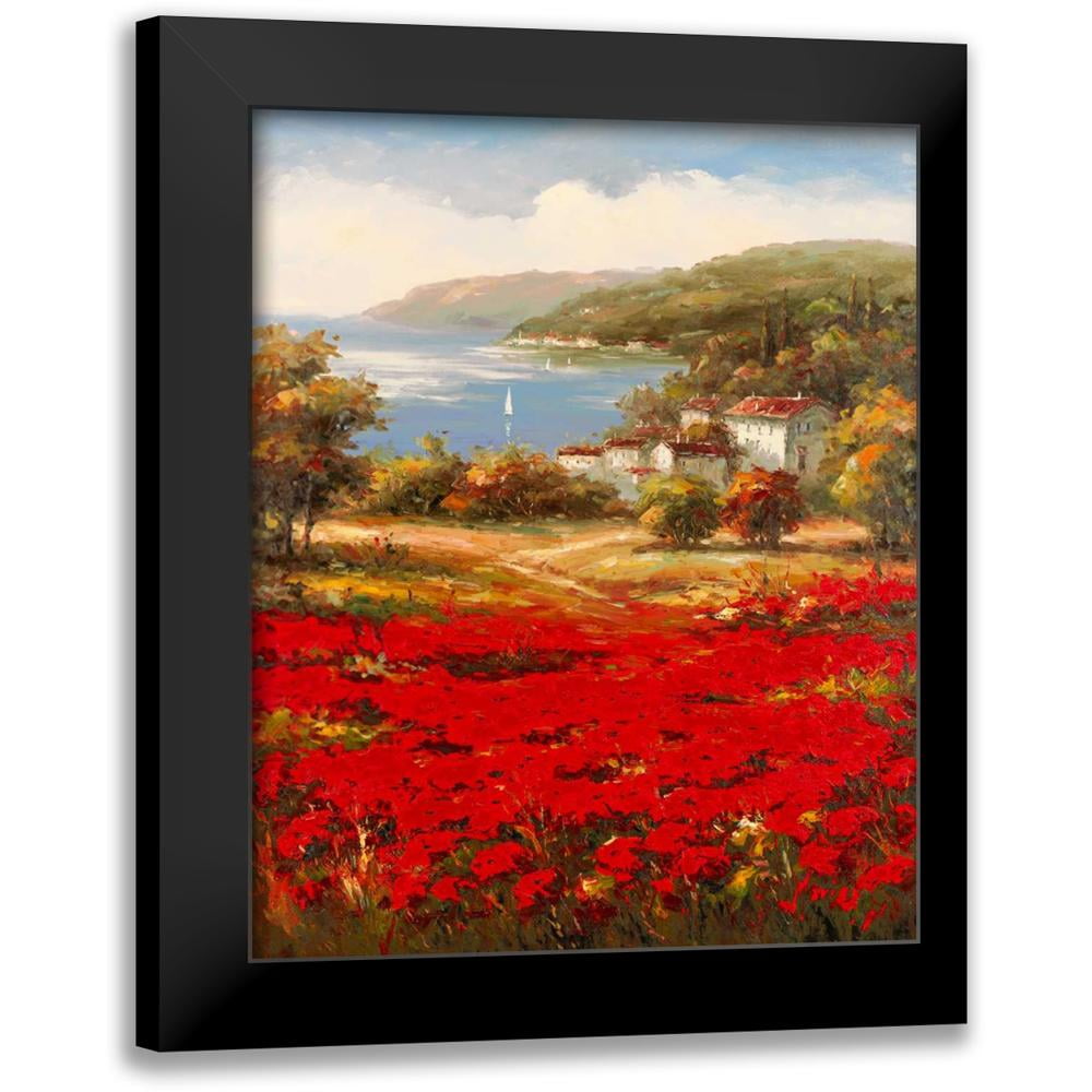 Marino 12x14 Black Modern Framed Museum Art Print Titled - Poppy Harbor ...