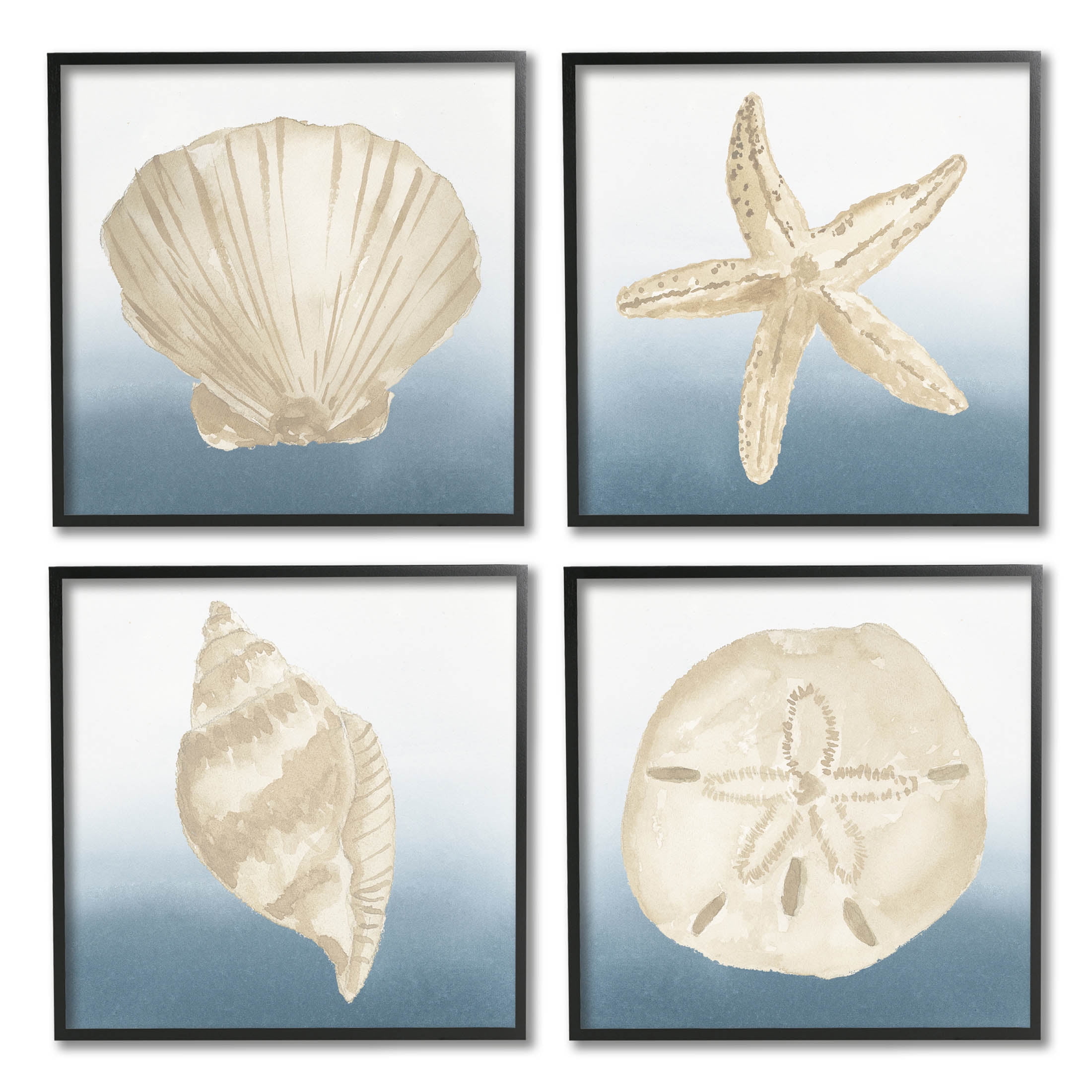 Maritime Seashells Ocean Beach Life Animals & Insects Graphic Art Black ...