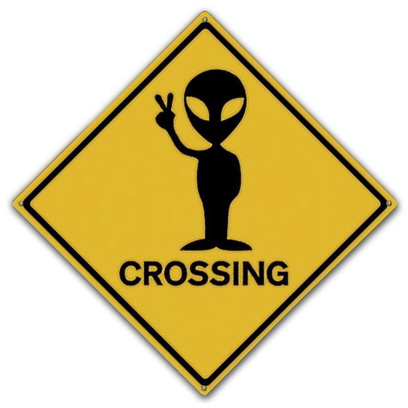 Mark Ashley LS2456M1212-MA Alien Crossing, Classic Metal Sign - Walmart.com