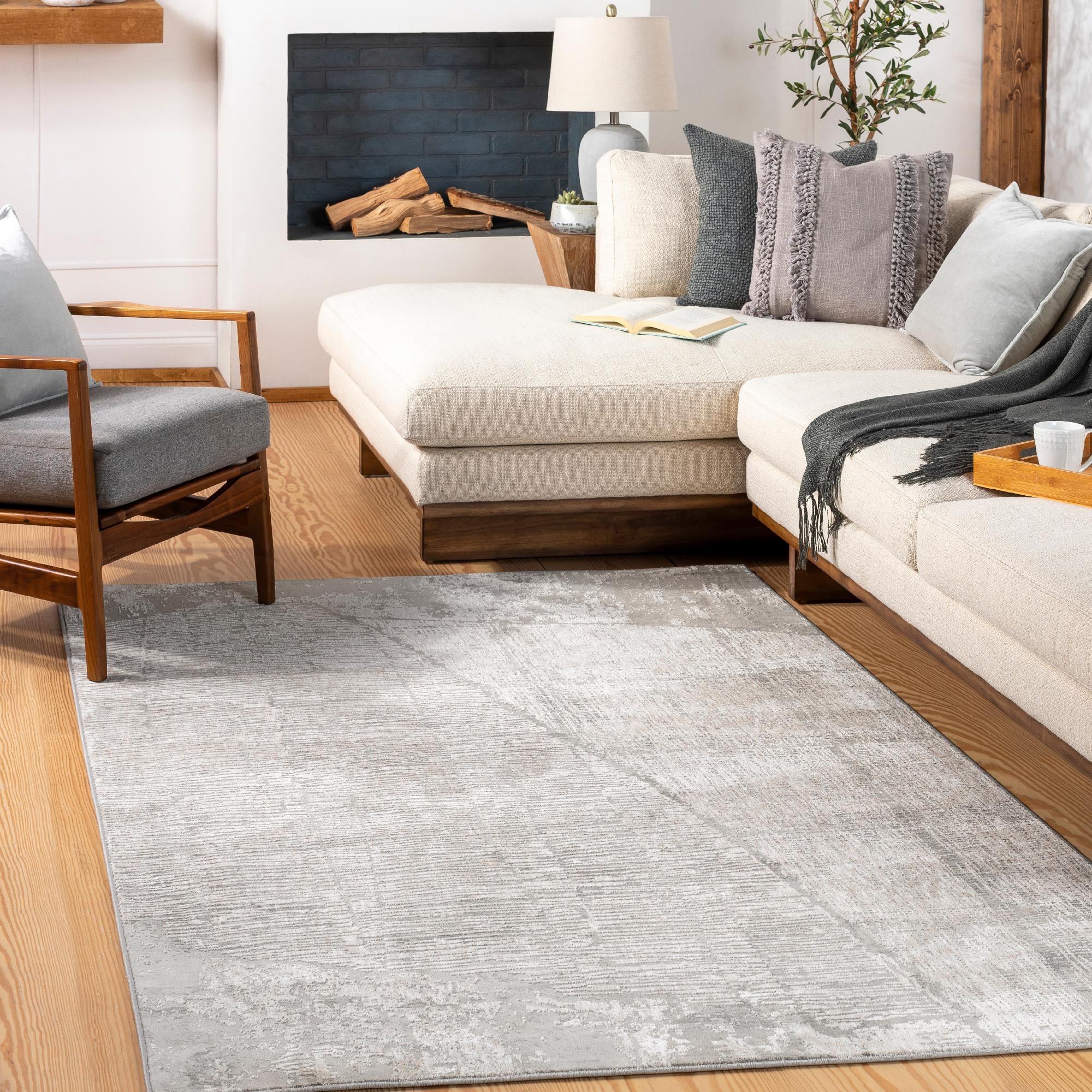 Mark&Day Area Rugs, 2x4 Dinther Modern Light Gray Area Rug (2'7" x 4 ...