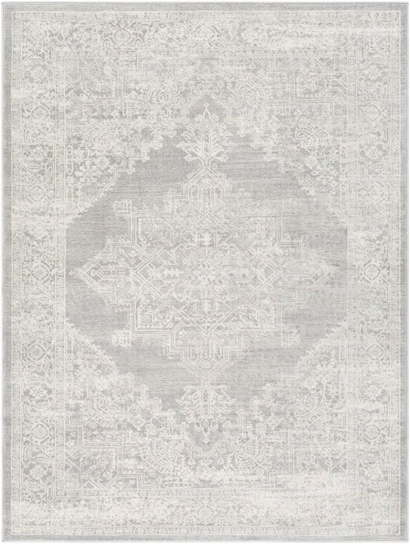 mark-day-area-rugs-5x7-ulvend-traditional-grey-area-rug-5-3-x-7-1