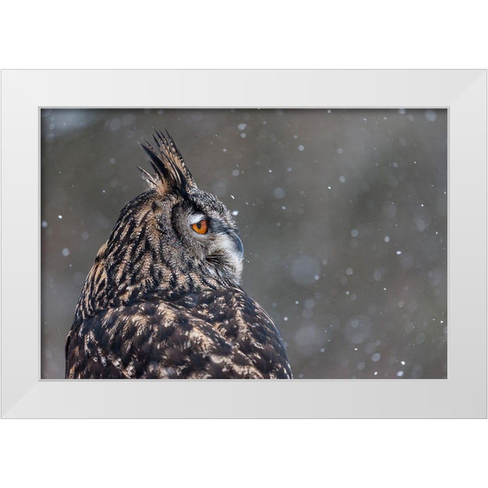 Mark Spowart Photography 14x11 White Modern Wood Framed Museum Art ...