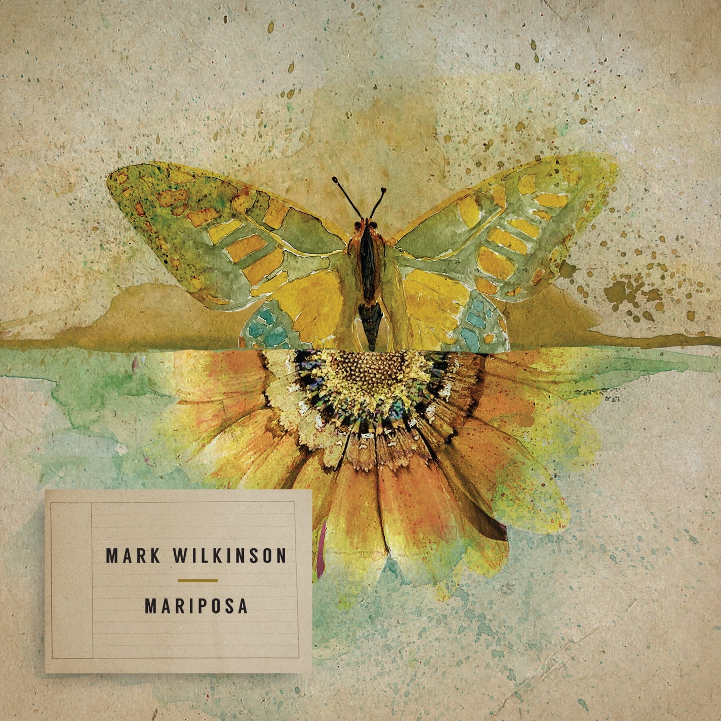 Mark Wilkinson - Mariposa - Music & Performance - CD - Walmart.com