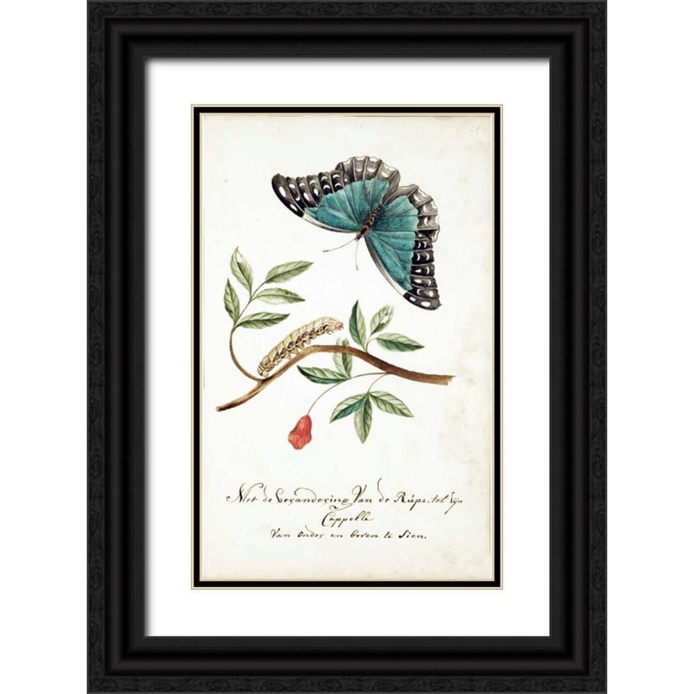 Markee, Cornelis 13x18 Black Ornate Wood Framed with Double Matting ...