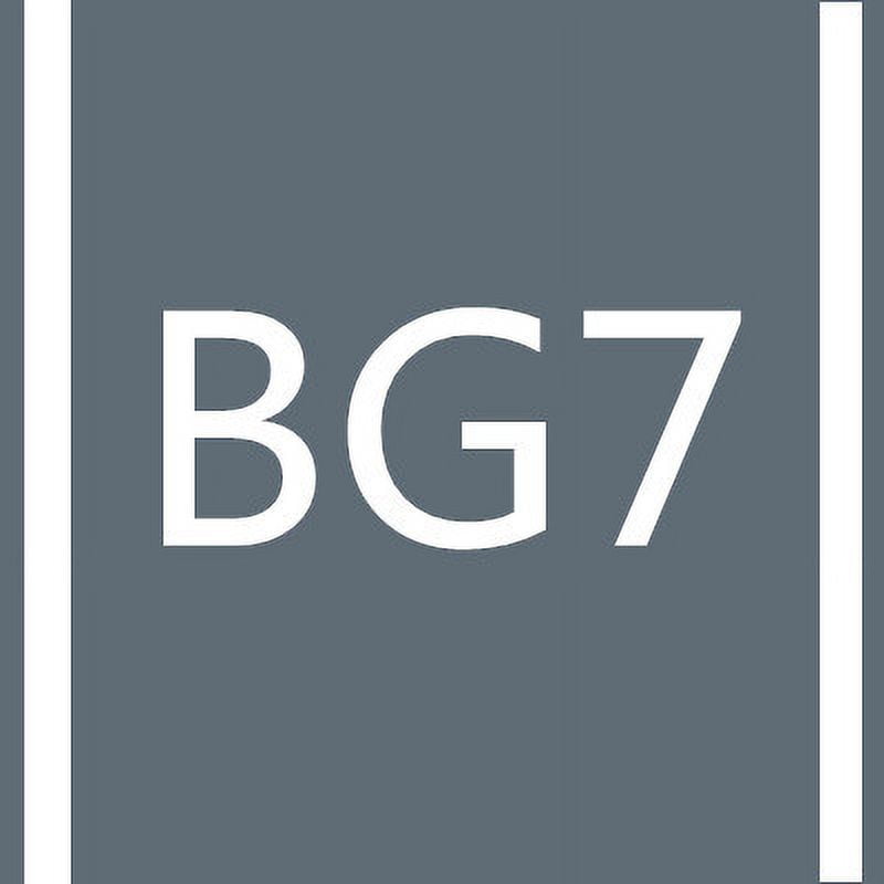 Marker Pen Set Soft Brush Markers Dual Tips 1 Colors Animation for Art Lovers Manga Drawing ...