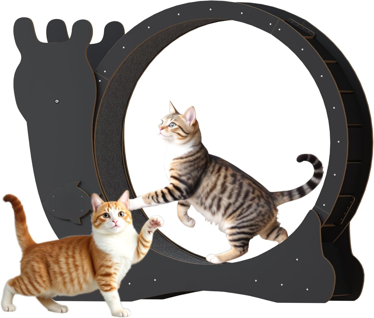 MarketLane Cat Exercise Wheel, Large Cat Exercise Running Wheel with ...
