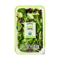Marketside Organic Spring Mix Salad Blend 16 oz Clam Shell, Ready to ...