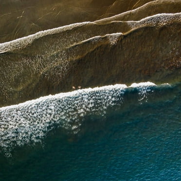 Free Shipping! Marmont Hill Mimography Biopic Canvas Art Print 12x24 ...