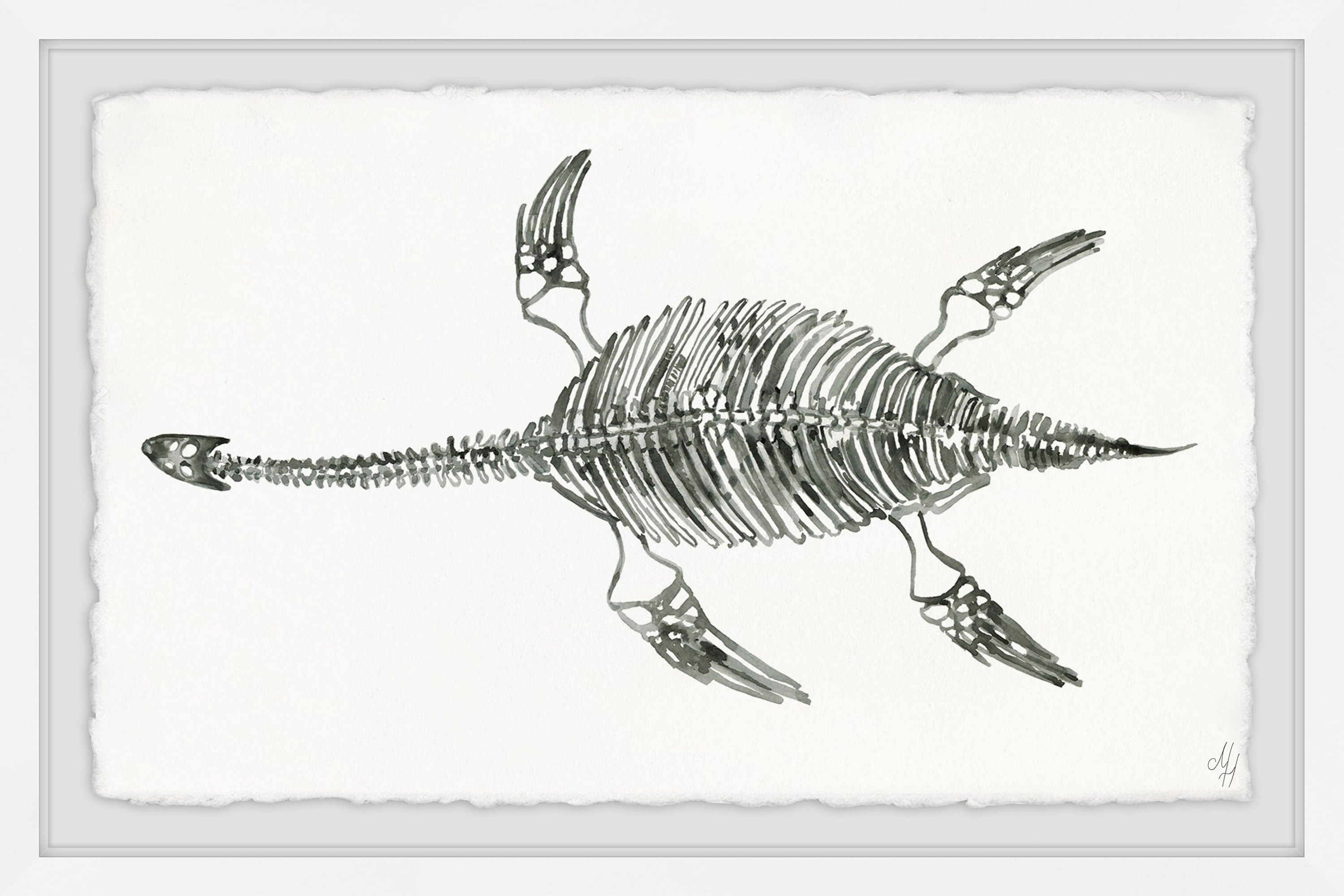 Marmont Hill Elasmosaurus Skeleton Framed Wall Art, 24.00" x 1.50 ...