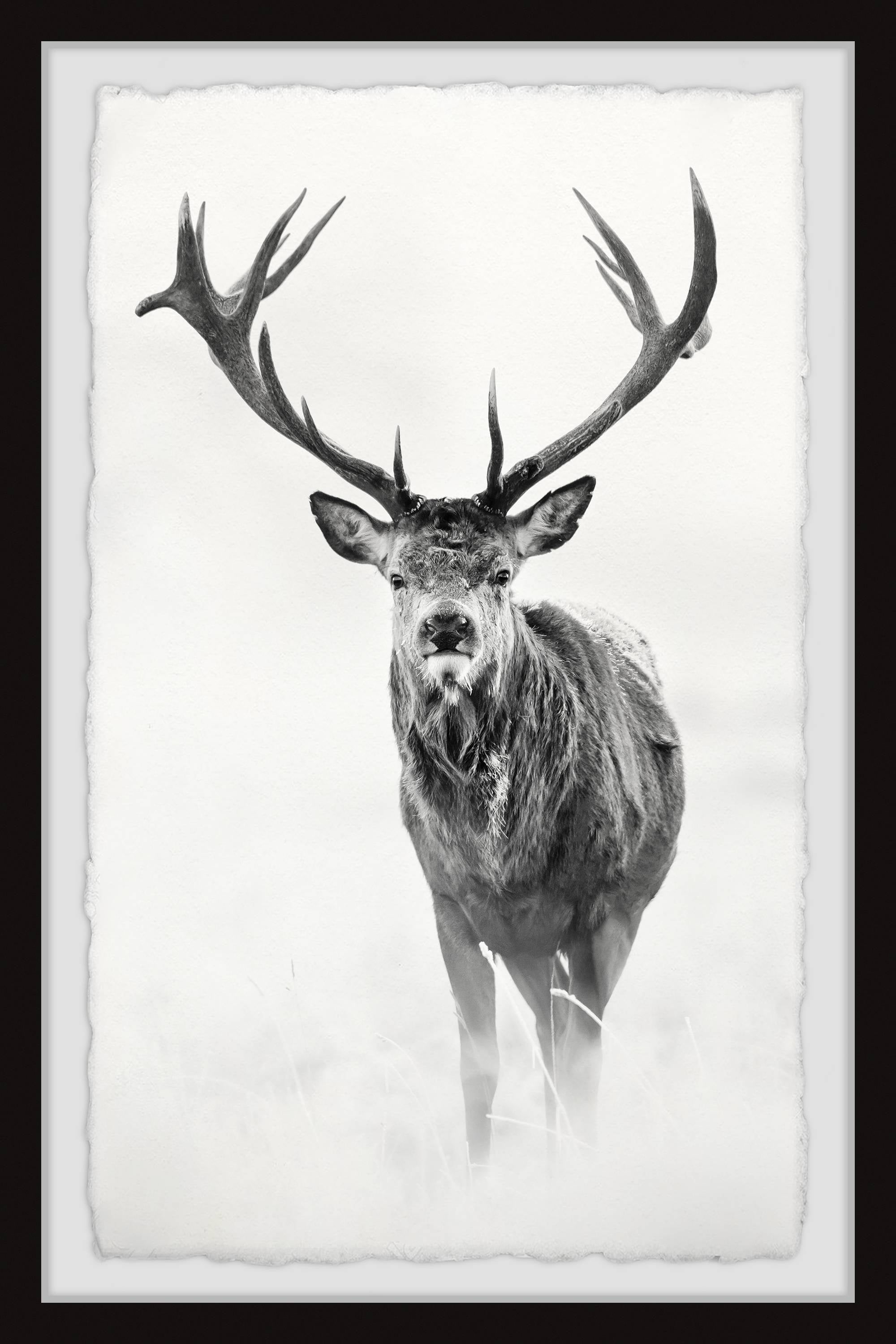Marmont Hill Elk Stare II Framed Wall Art - Walmart.com