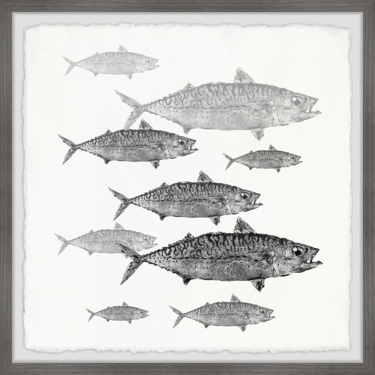 Freshwater Fish Art